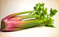 Red Celery Revealed - Growing Produce