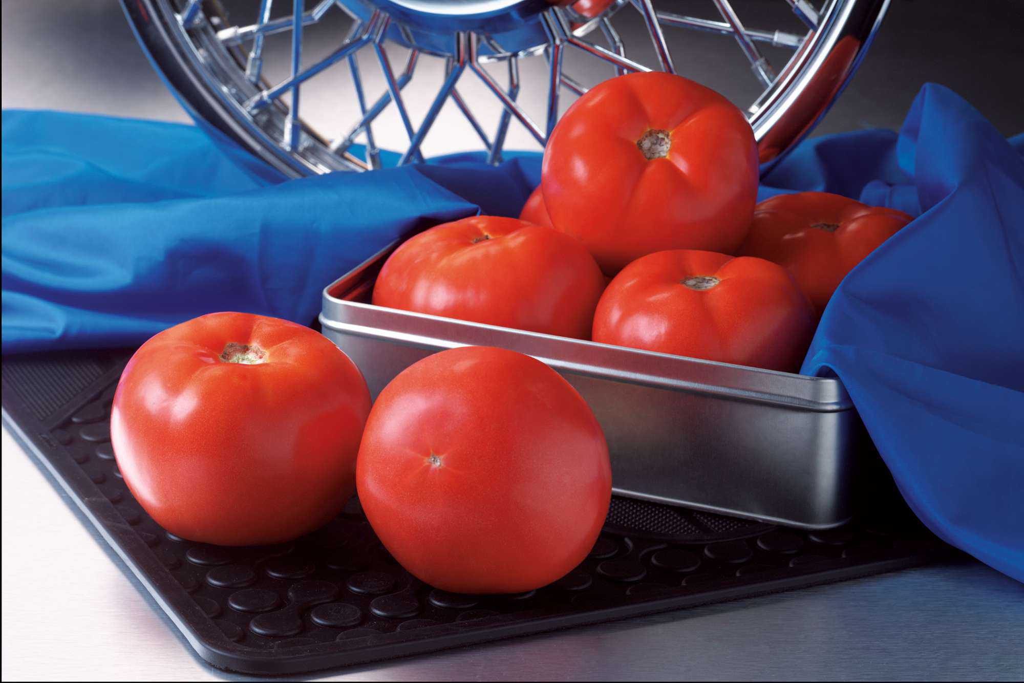 Syngenta Seeds/Rogers Brand Highlight Three Tomato Varieties - Growing ...