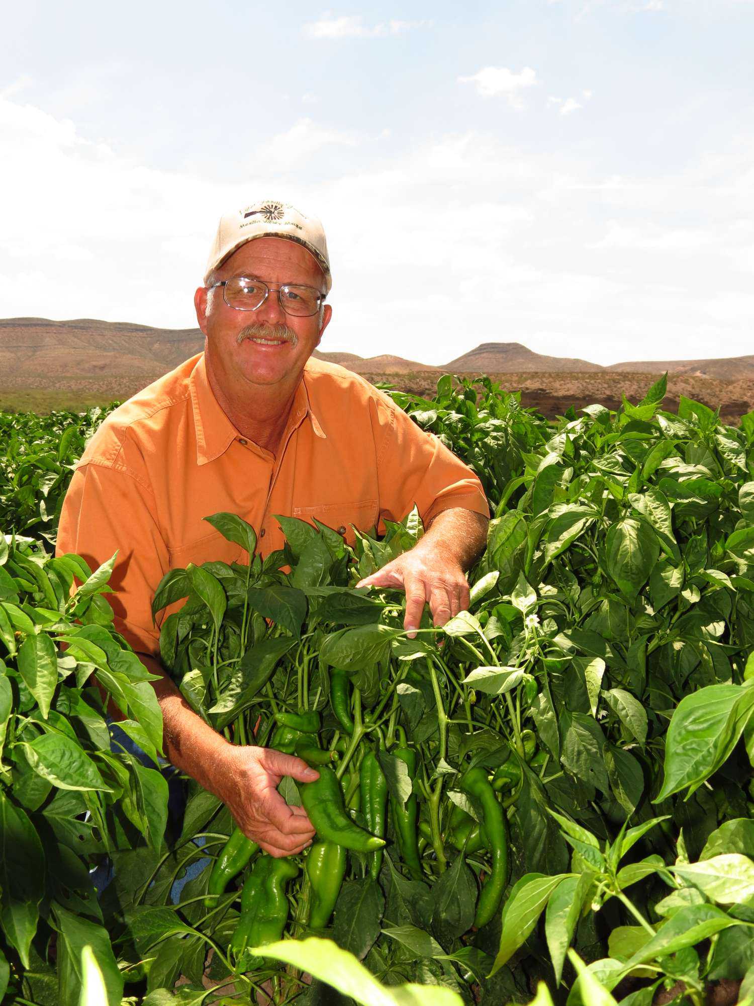 2012 Grower Achievement Award Winner: Steven Lyles Farms - Growing Produce