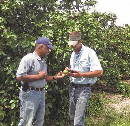 Advantages Abound In Ag Internships - Growing Produce