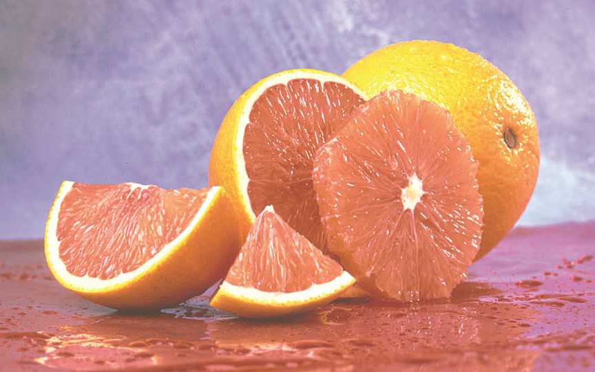 Growers Take New Notice Of Navel Oranges - Growing Produce