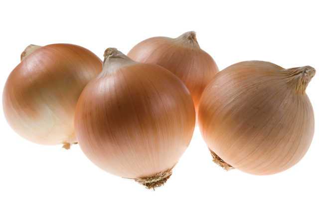 Great Onion Varieties For 2014 [Slideshow] - Growing Produce