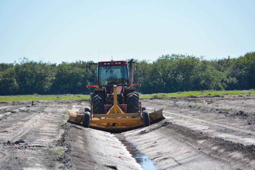 Duda Citrus Division's Big Planting Makes Bigger Statement - Growing ...