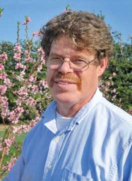 A Great Tasting Peach Is A Complicated Endeavor - Growing Produce