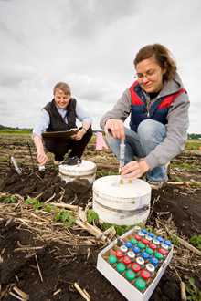 Field Study Shows Why Food Quality Will Suffer With Rising Carbon ...