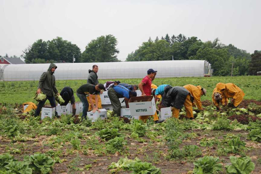 How To Create A Smooth Farm Transition From One Generation To The Next ...