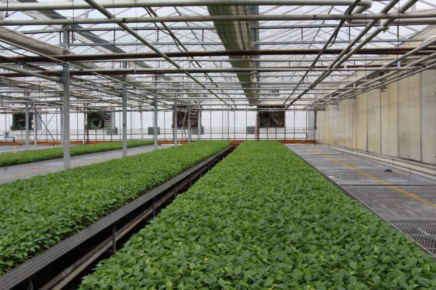 How To Create A Smooth Farm Transition From One Generation To The Next ...