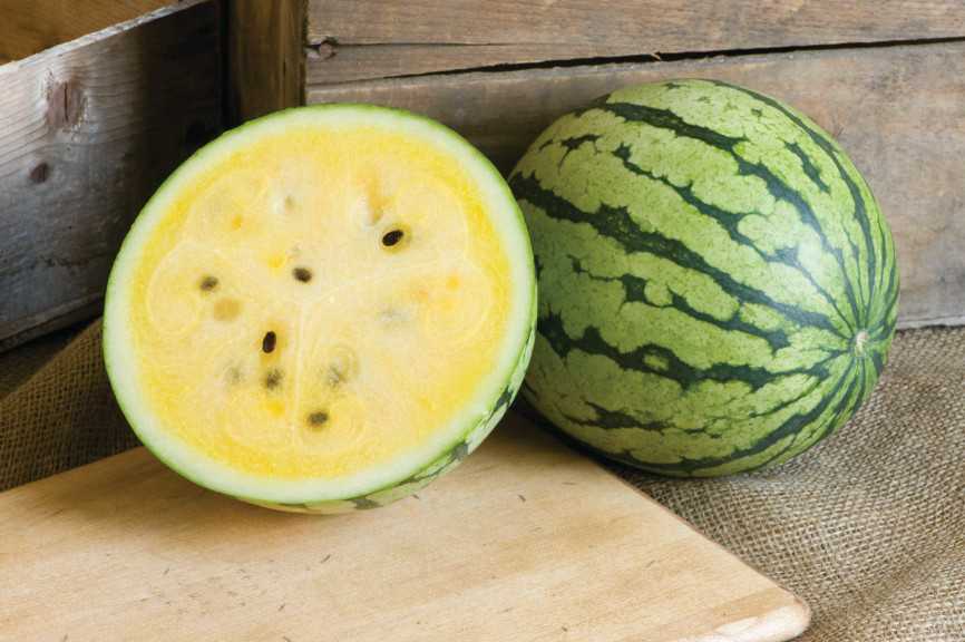 24 Sweet Watermelon Varieties to Consider [Slideshow] - Growing Produce