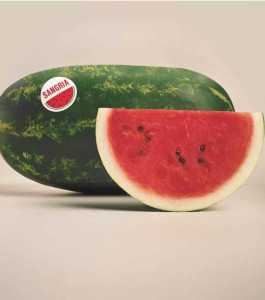24 Sweet Watermelon Varieties to Consider [Slideshow] - Growing Produce