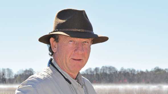 Florida Blueberry Industry Still Has Some Growing Up To Do [Opinion ...