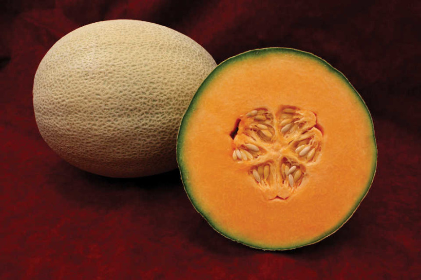 14 Stand-Out Melon Varieties [Slideshow] - Growing Produce