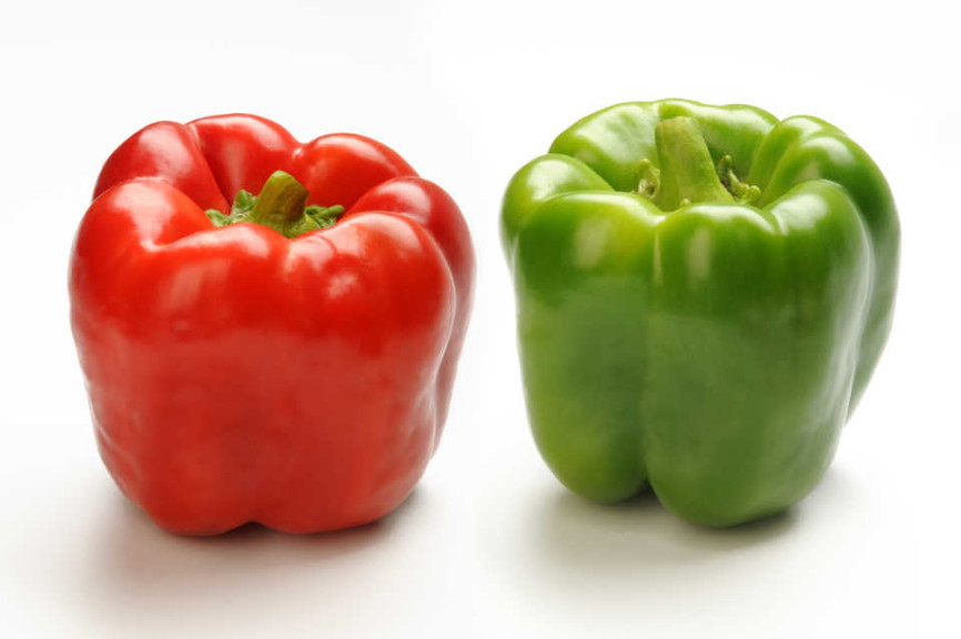 22 Prime Pepper Varieties You Should Know and Grow - Growing Produce