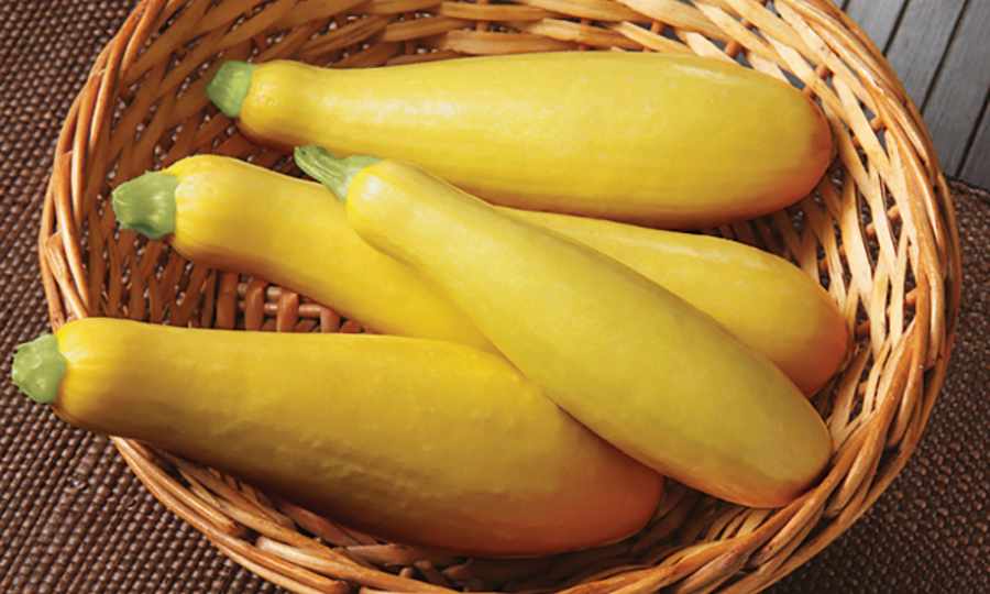 9 Of The Latest Squash Varieties - Growing Produce