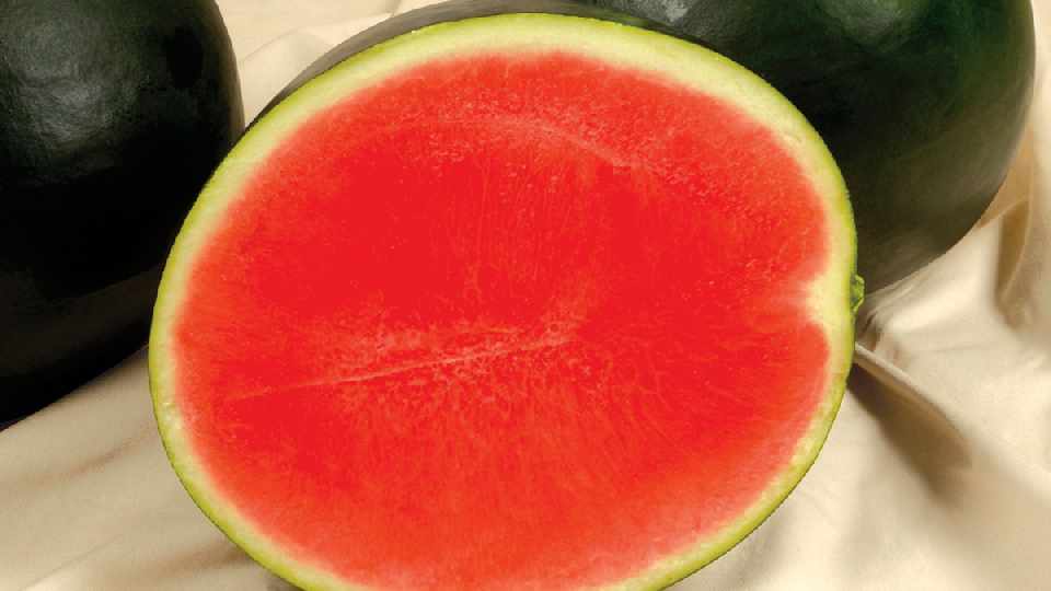6 Juicy Watermelon Selections For The Sunshine State - Growing Produce