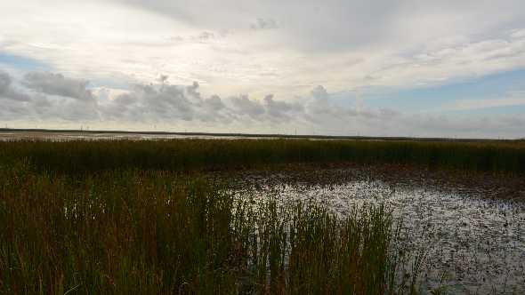 Topsy-Turvy Weather Trend Continues In South Florida - Growing Produce