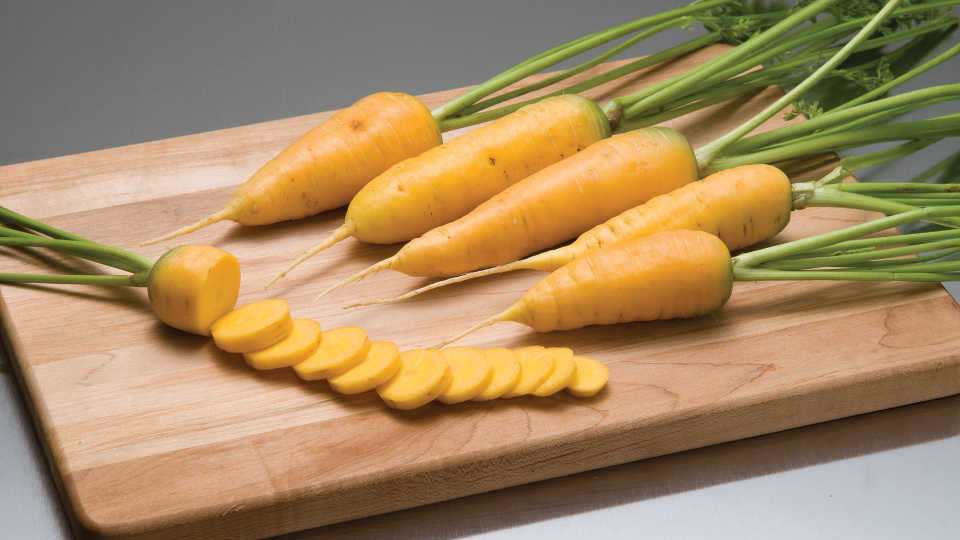15 Must Have Carrot Varieties [Slideshow] - Growing Produce