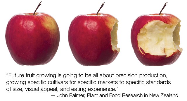 Why Dry Matter Matters In Apples - Growing Produce