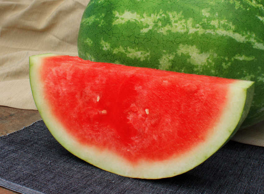 10 Top Performing Watermelon Varieties - Growing Produce