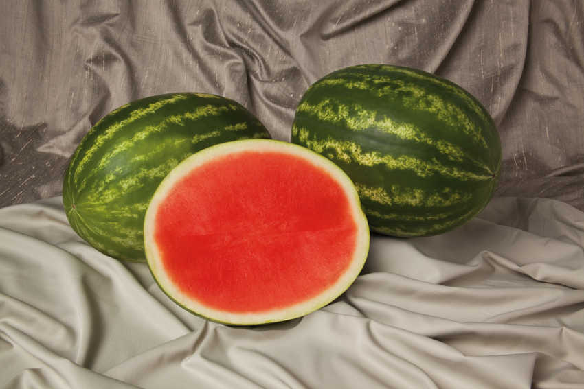 10 Top Performing Watermelon Varieties - Growing Produce