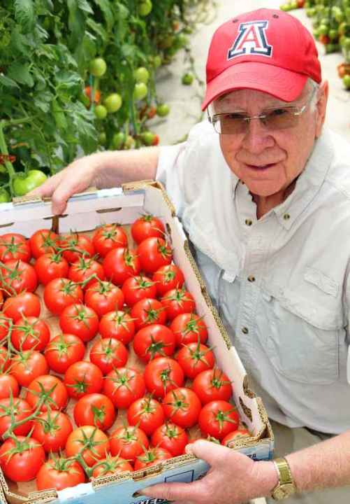 Factors To Consider For Successful Vegetable Production In Controlled ...