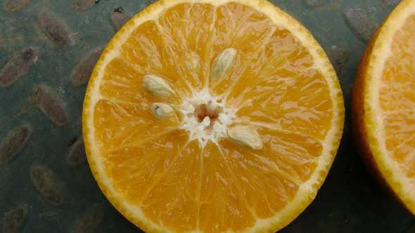 Scientists Center On Sweet Spot For Processed Oranges - Growing Produce