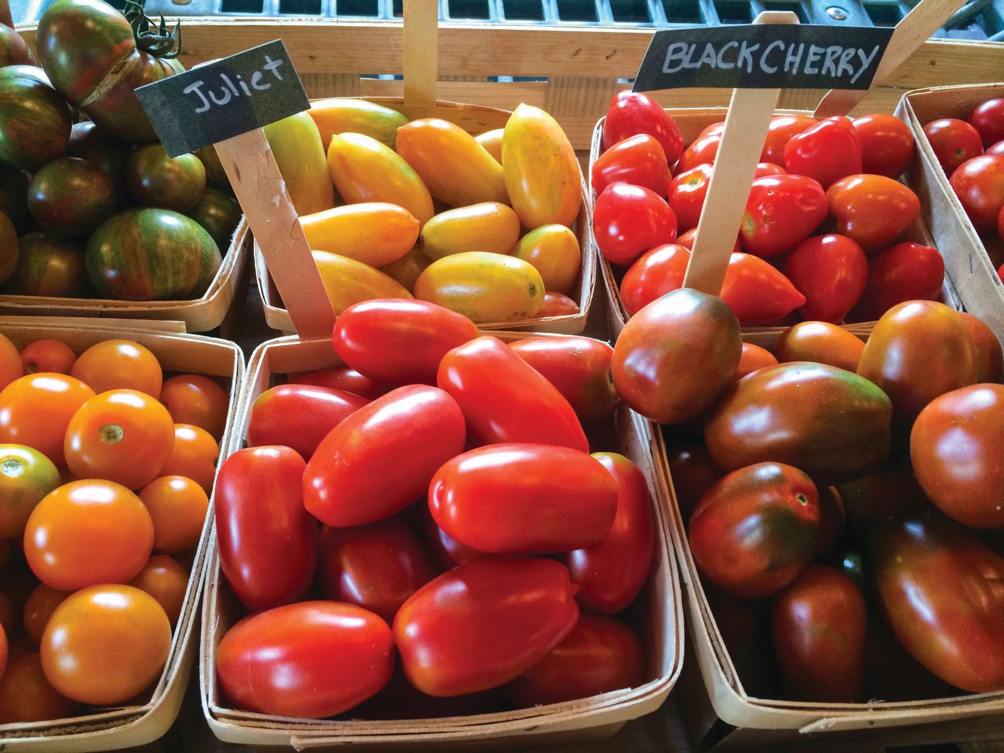New Resource Helps Assess Local Food Benefits - Growing Produce