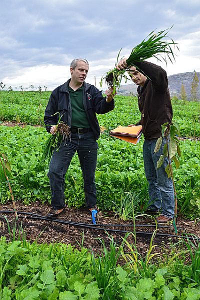Maximize Produce Profits By Focusing On Soil Health - Growing Produce