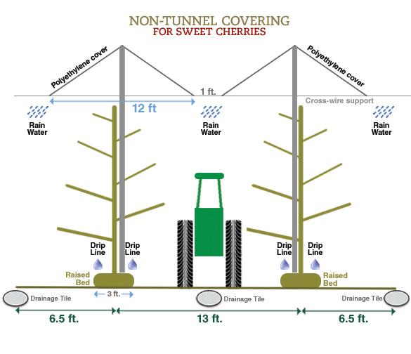 Considerations Before Purchasing Non-Tunnel Covering Systems For Sweet ...