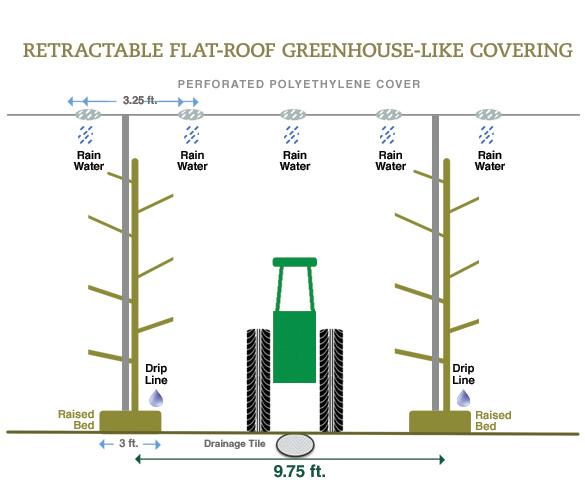 Considerations Before Purchasing Non-Tunnel Covering Systems For Sweet ...