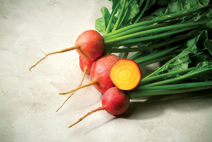 Sakata Seed America 2015 Vegetable Variety Showcase - Growing Produce
