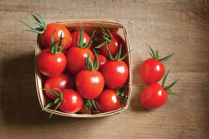 Johnny's Selected Seeds 2015 Vegetable Variety Showcase - Growing Produce