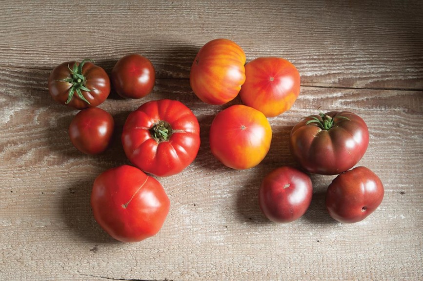 Johnny's Selected Seeds 2015 Vegetable Variety Showcase - Growing Produce