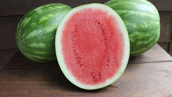 9 Watermelon Varieties You Need To Know For 2016 - Growing Produce