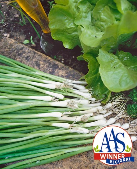 Seeds By Design 2015 Vegetable Variety Showcase - Growing Produce