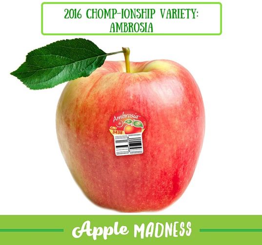 ‘Ambrosia’ Apple Takes Tournament - Growing Produce