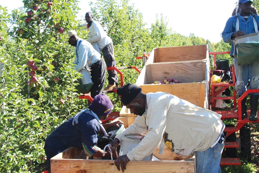 Washington Growers Slam ‘Double Standard’ for Farm Workers - Growing ...