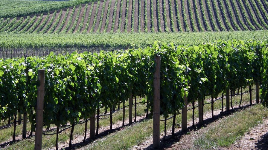 Farming Factors Big in California’s Rank as World’s 4th-Largest Economy ...
