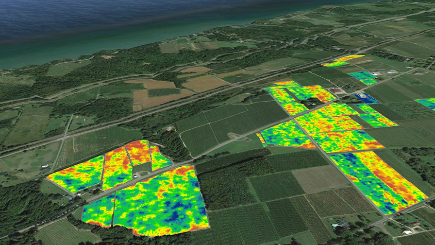 High-Tech Solutions Could Improve Grape Crop Estimates - Growing Produce