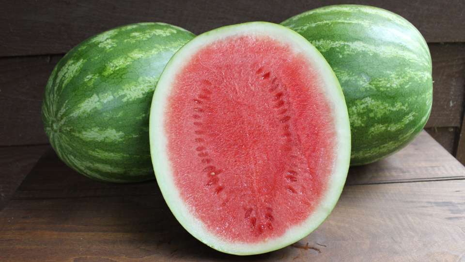23 Top-Notch Watermelon Varieties - Growing Produce