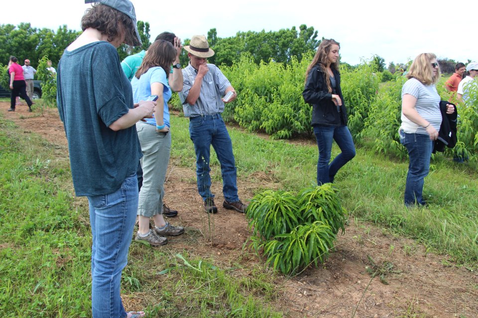 Easy to See Growing Number of Young Growers and Researchers - Growing ...