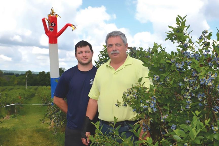 Bird Damage Plagues Most Fruit Growers - Growing Produce