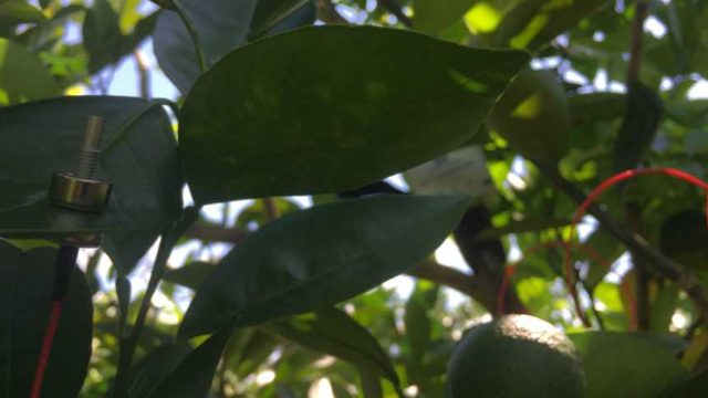 Yara Seeking To Make Splash With New Water-Saving Tool - Growing Produce