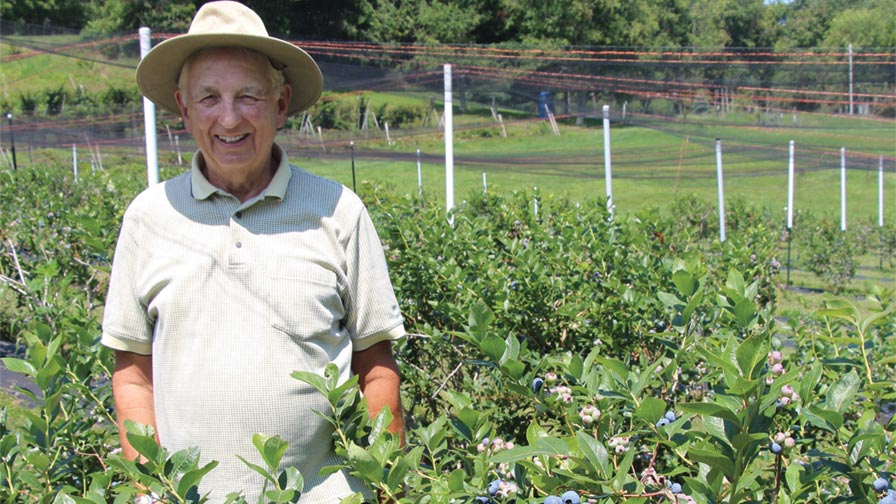 Pick-Your-Own Pointers From Expert Blueberry Grower - Growing Produce