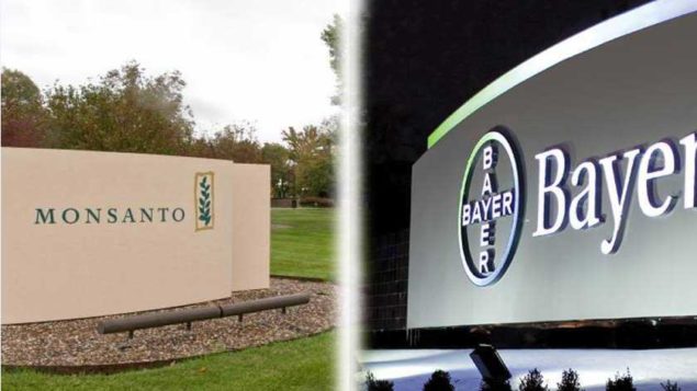Bayer to Sell Its Vegetable Seed Business - Growing Produce
