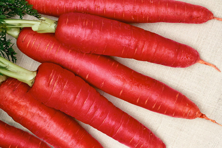 Seeds By Design 2016 Vegetable Variety Showcase - Growing Produce