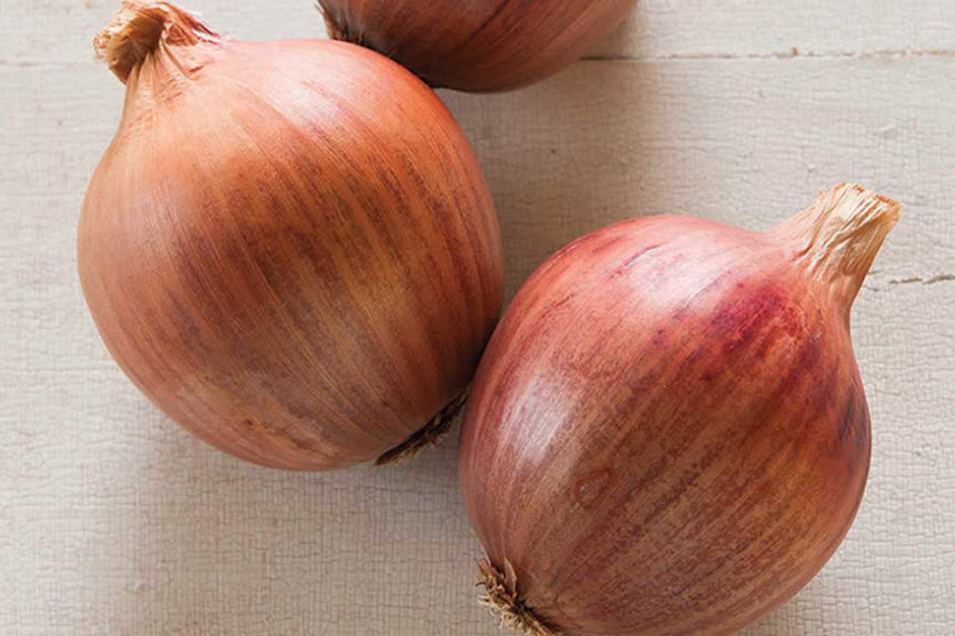 Johnny's Selected Seeds 2016 Vegetable Variety Showcase - Growing Produce