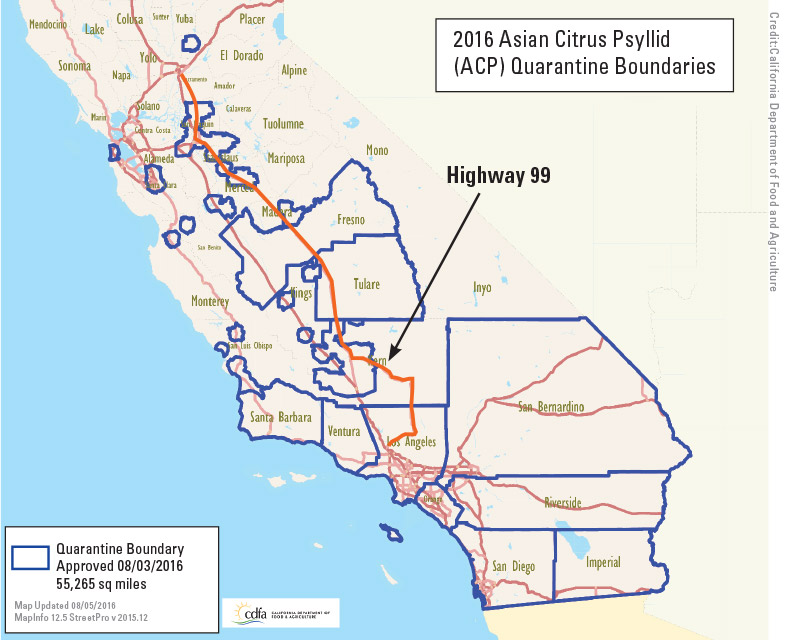 Saving California Citrus Means Thinking Outside The “Carton” [Opinion ...