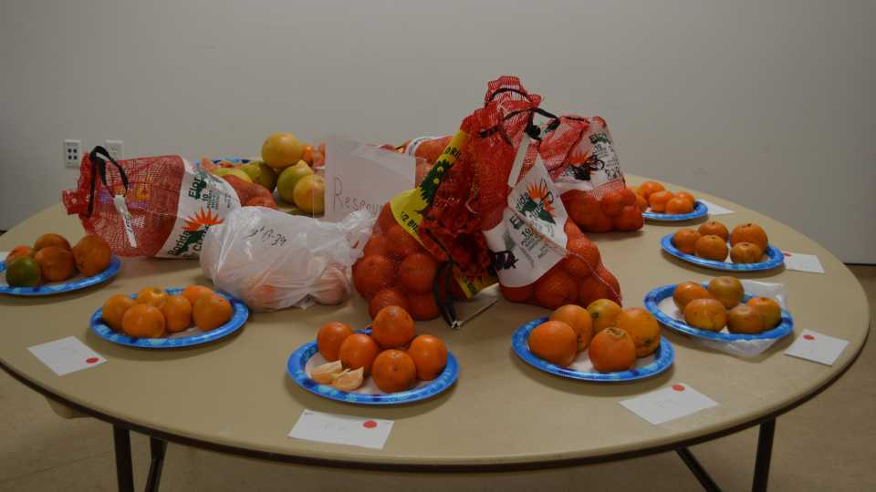 Game Far From Over for Florida Citrus - Growing Produce