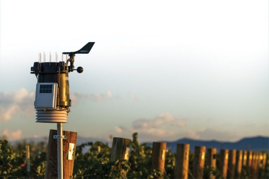 Is the Intelligent Vineyard the Future of Winegrape Growing? - Growing ...
