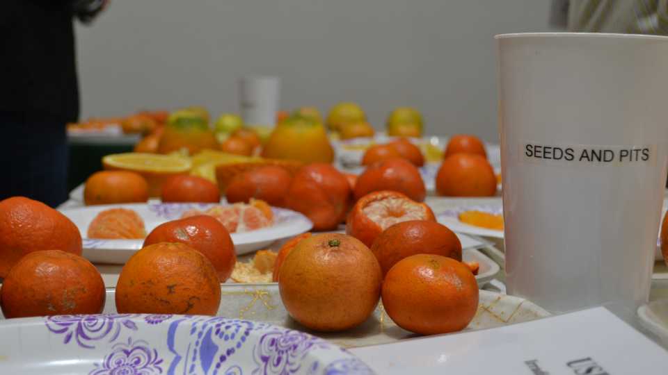 Game Far From Over for Florida Citrus - Growing Produce